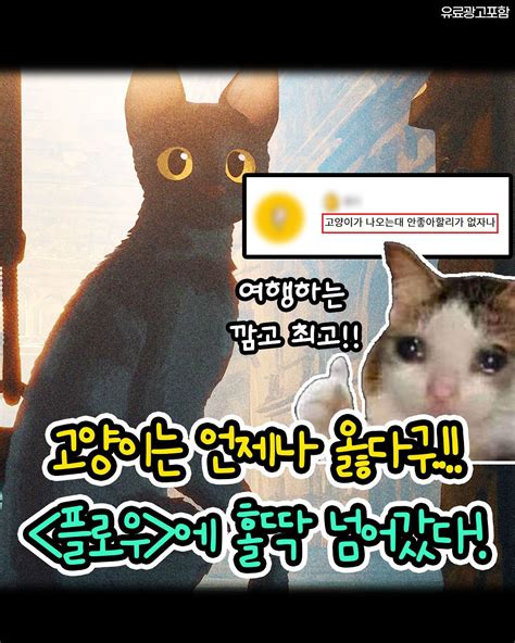 육아서 육아정보 공유 육아맘 모하리 출산은 아내가 했지만 부모가 되어가는 길은 둘이서 함께 걸어가야 해요 작은 배려 따뜻한 말 한마디 그 모든 게 아내에게는