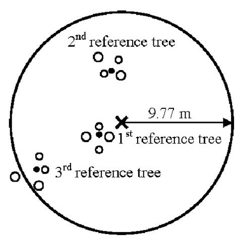 A Sample Plot With Reference Trees And Their Neighbours Download Scientific Diagram