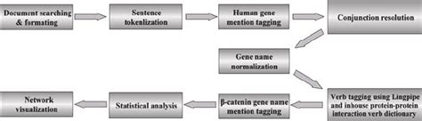 Schematic Representation Of The Literature Based Gene Network Analysis Download Scientific