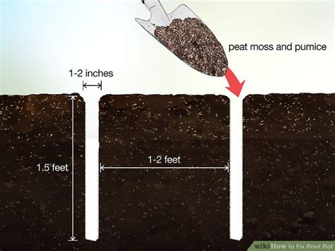 Easy Ways To Fix Root Rot WikiHow