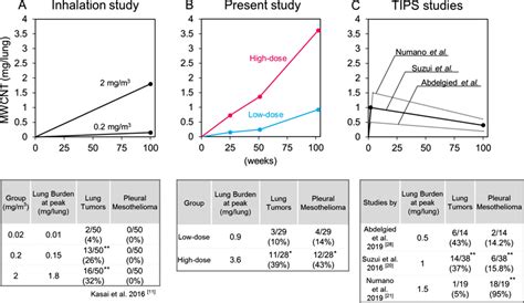 Comparisons Of The Auc Shape Of Mwcnt Lung Burden And Tumor Incidences Download Scientific