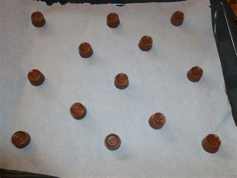 In The Kitchen With Harry Potter Cockroach Clusters