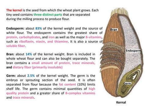 Wheat Analysis Pptx Nutrition Healthy Living