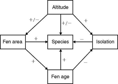 A Priori Path Model Representing Hypothesized Relationships Among The Download Scientific