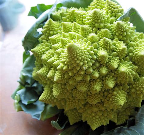 Fractal Fun The Christmas Tree Vegetable Romanesco Brocco Flickr