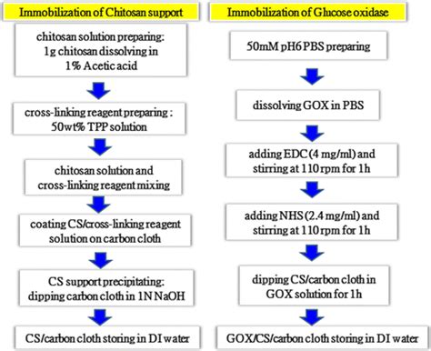 General Flowchart Of Enzyme Production Steps In Upstream Processing