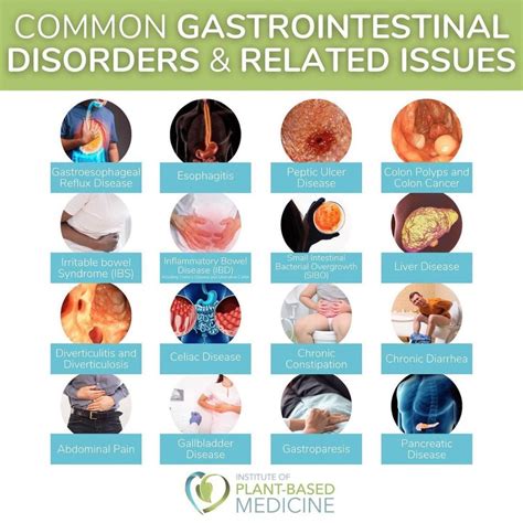 Common Gastrointestinal Disorders Chronic Constipation Healthy