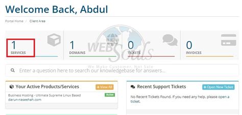 How To Login To Cpanel From The Client Area Knowledgebase Websouls