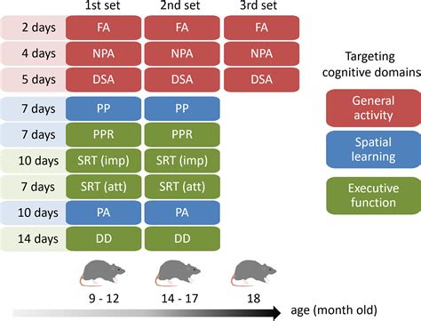 Video Automated Long Term Behavioral Assay For Cognitive Functions In