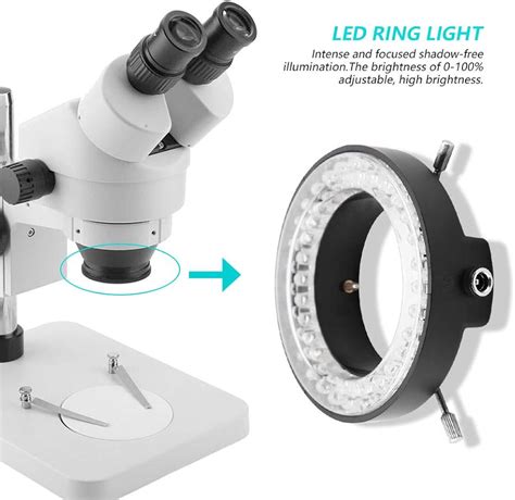 Light Source Microscope