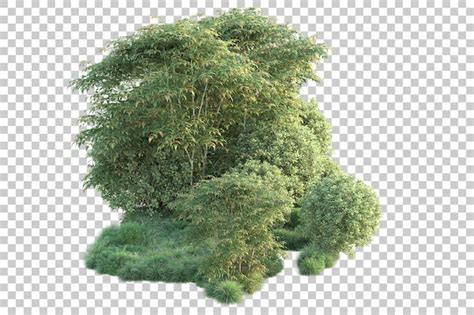 Premium PSD Green Landscape Isolated On Transparent Background D Rendering Illustration