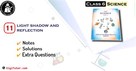 Light Shadows And Reflections BOSEM Class Science Eigitutor