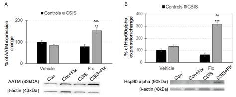 Validation Of Selected Differentially Expressed Proteins In Download Scientific Diagram