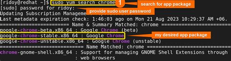 how to install rpm packages using yum [4 interactive cases] linuxsimply