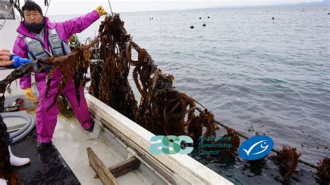 Our Standards Asc Korea