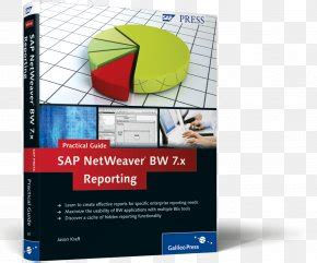 SAP NetWeaver Process Integration Datenmodellierung In SAP NetWeaver BW Book Praxisleitfaden SAP