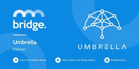 Bridge Mutual Umbrella Network Oracles
