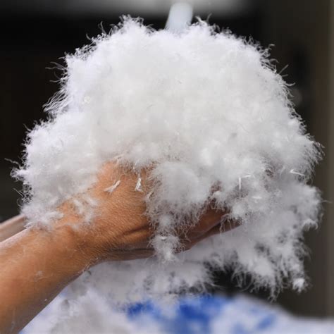 Jonk Dekbed Romance 90 Witte Poolse Ganzen Dons Gehele Jaar 260 X 220