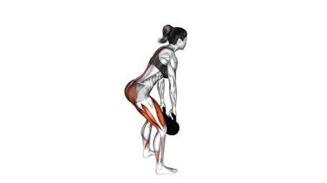 6 Effective Exercises For A Bigger Rounder Bum Workout Guru