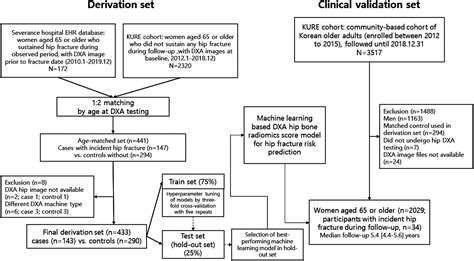 Bone Radiomics Score Derived From Dxa Hip Images Enhances Hip Fracture Prediction In Older Women