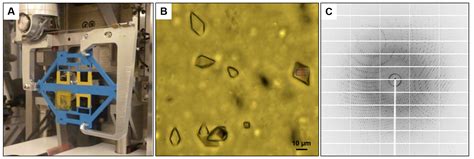 Microfluidic Chips For In Situ Crystal X Ray Diffraction And In Situ