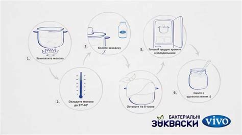 Как приготовить йогурт в домашних условиях Youtube
