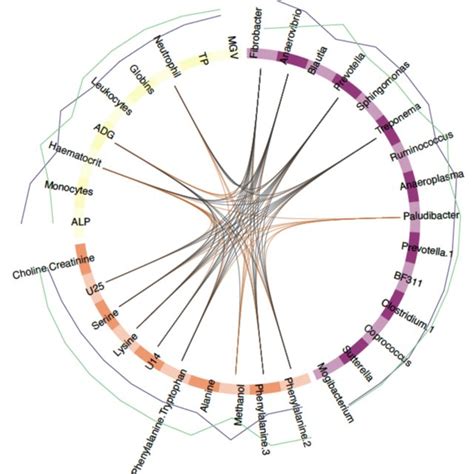 Circos Plot Showing Features Best Discriminating Between Infected