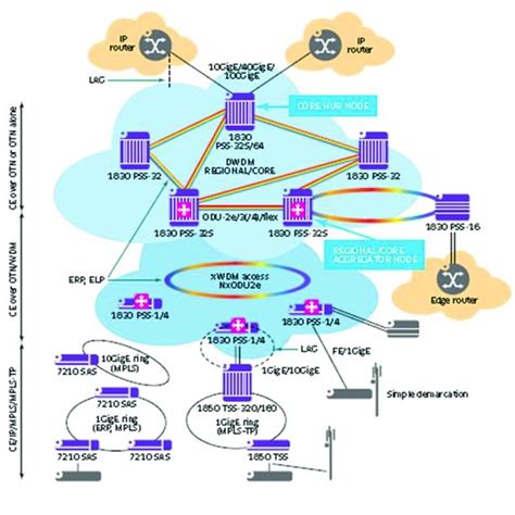 topology of transport mpls network model of future ce otn networks as