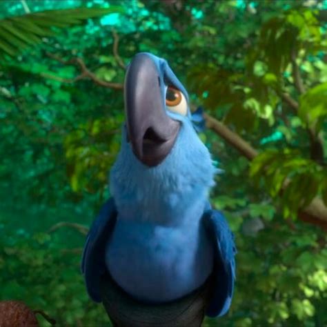 Tyler Blu Gunderson Pfp Rio Free Download Borrow And Streaming