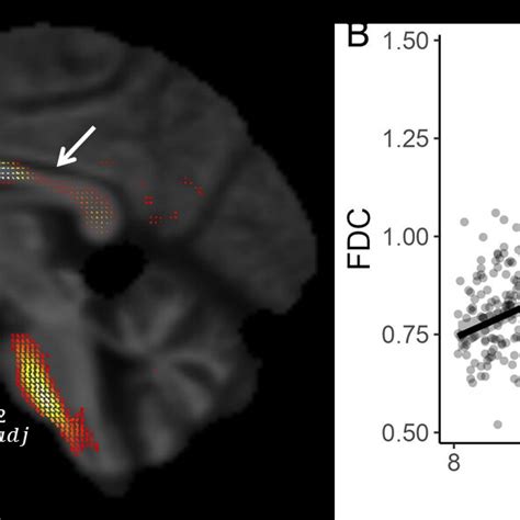 Example R Code For Executing Analysis Using Modelarray Modelarray Download Scientific Diagram
