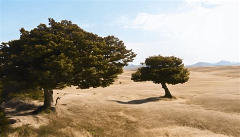 Pyrightpylanceのtype Check Ruleの設定全部解説する その1 Kdev