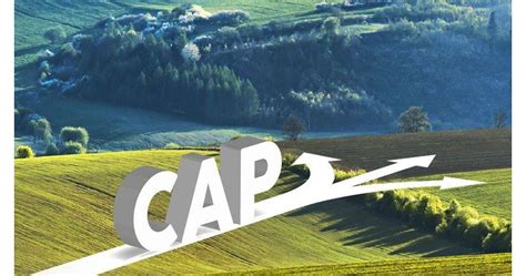 Обявяват набиране на идеи за бъдещия програмен период за ОСП Български Фермер