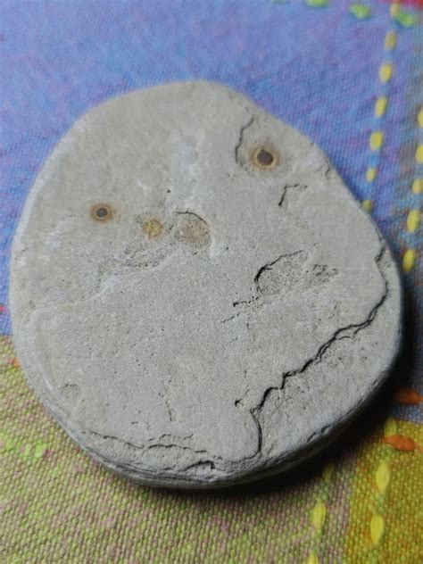 Is There A Fossil Inside Rwhatsthisrock