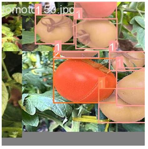 Improved Yolov8 Seg Network For Instance Segmentation Of Healthy And