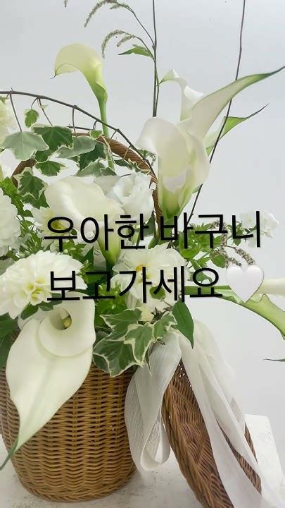 바구니 수업이 있어요🌿 기존 바구니스타일에서 변화를 주고싶은 분들에게 맞는 수업입니다🤍 꽃선생프리샘 서울 이천 꽃수업 플로리스트 꽃꽂이레슨 Youtube