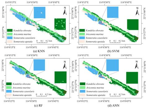 Sensors Free Full Text Mangrove Species Classification From Unmanned Aerial Vehicle