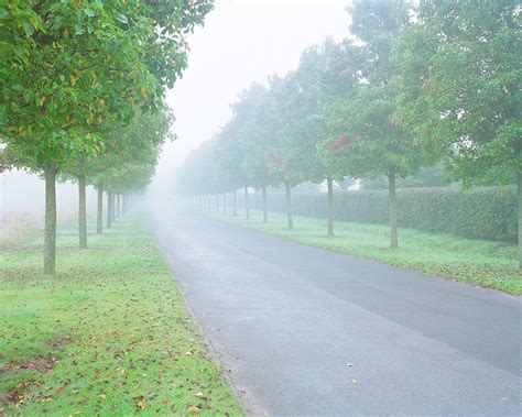 Lucy Jarvis Walking Home Internationalphotomag