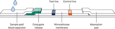 Optimizing Your Lateral Flow Assay A Webinar Series Cytiva