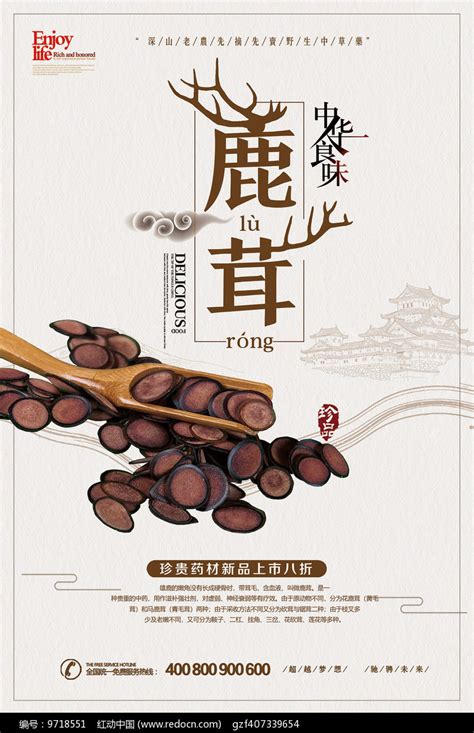 中国风鹿茸中药补品海报图片下载 红动中国