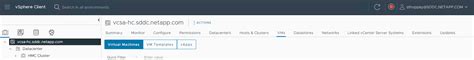 Migrate Vms To Ontap Datastores