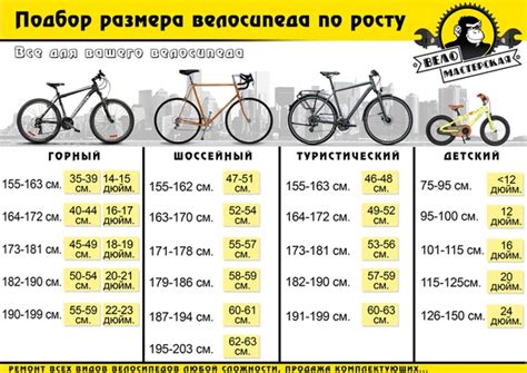 Диаметр колес велосипеда по росту: Размер рамы велосипеда и рост :: как ...