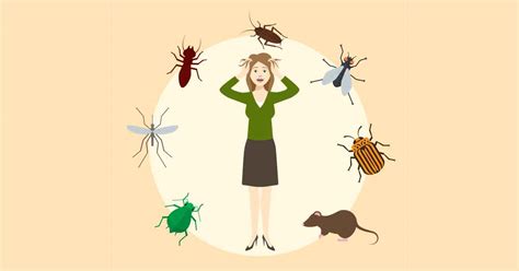 Bug Phobia The Root Cause Of Your Fear Of Insects Wwik