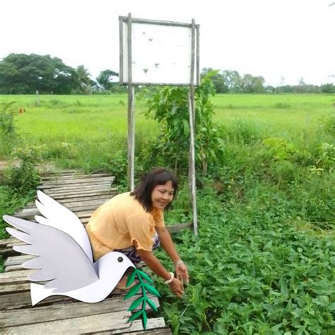 Mizzima စစ်ကော်မရှင်၏ရွေးကောက်ပွဲ ပြုလုပ်ခွင့်ပေးမည်မဟုတ်ကြောင်း အထူးတိုင်းစစ်ဌာနပြော Mto