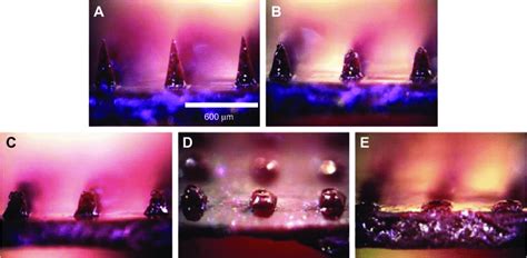 A E Commonly Seen Dissolving Microneedles And The Drug Release