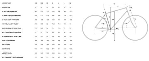 Merida Reacto 6000 Teal Pearl Team 2025 Vel Xs Bikeranch