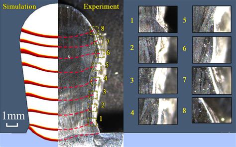 Comparison Of Simulation And Experiments Download Scientific Diagram
