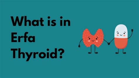 What Is In Erfa Thyroid Universal Drugstore