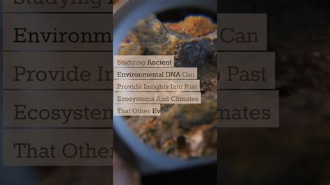 Million Year Old Dna Is Rewriting History Nature Science Environment Sciencefacts Go It