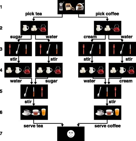 human midcingulate cortex encodes distributed representations of task progress pnas