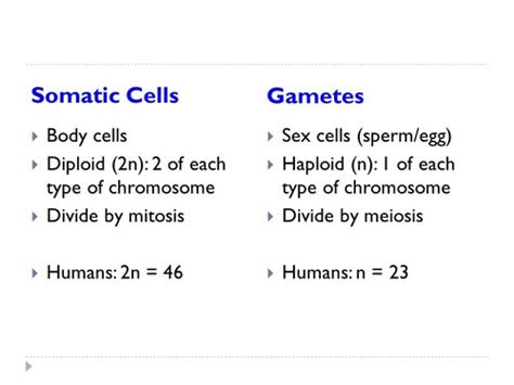 Concept 3 Meiosis Flashcards Quizlet